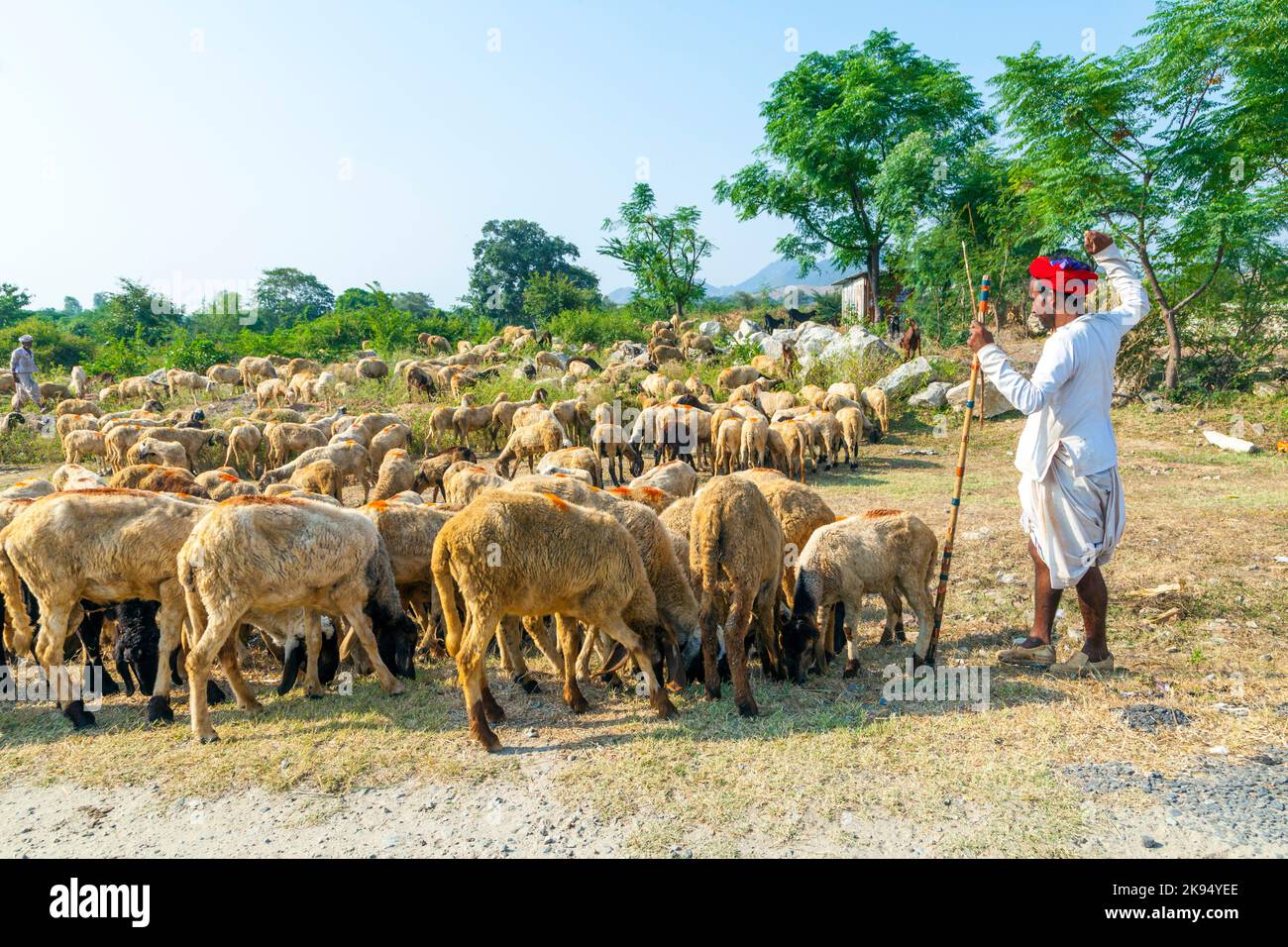 PUSHKAR, INDIA - OCTOBER 22: A Rajasthani tribal man wearing ...