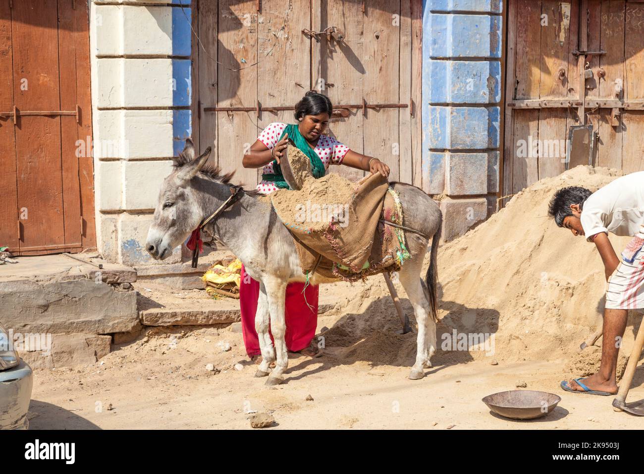 JODHPUR, INDIA - OCTOBER 23: donkeys are used to transport heavy goods ...