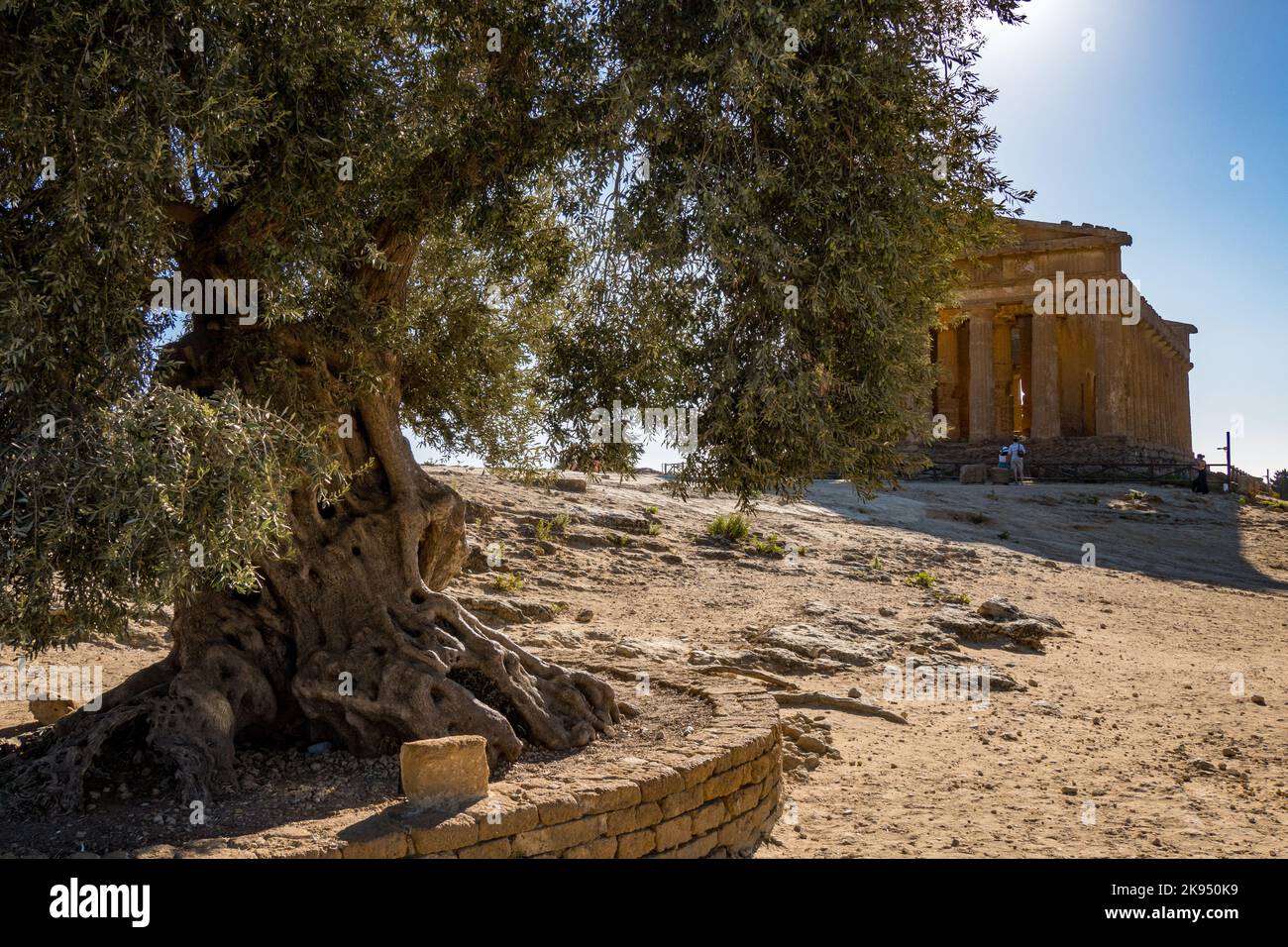 Italy, Sicily, Agrigento. Valle Dei Templi. Greek Temple of Concordia ...