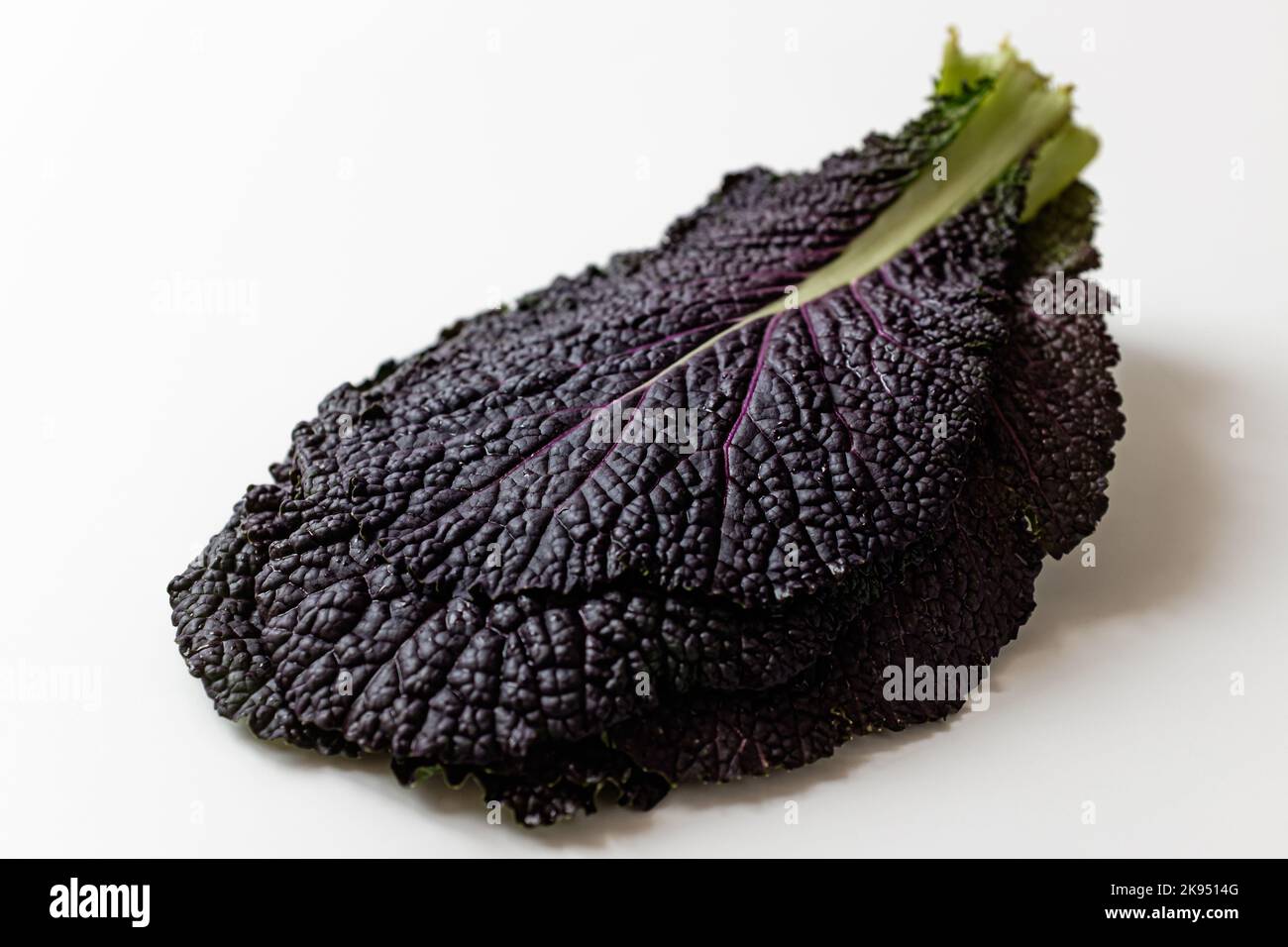 Red mustard leaves on a white background Stock Photo - Alamy