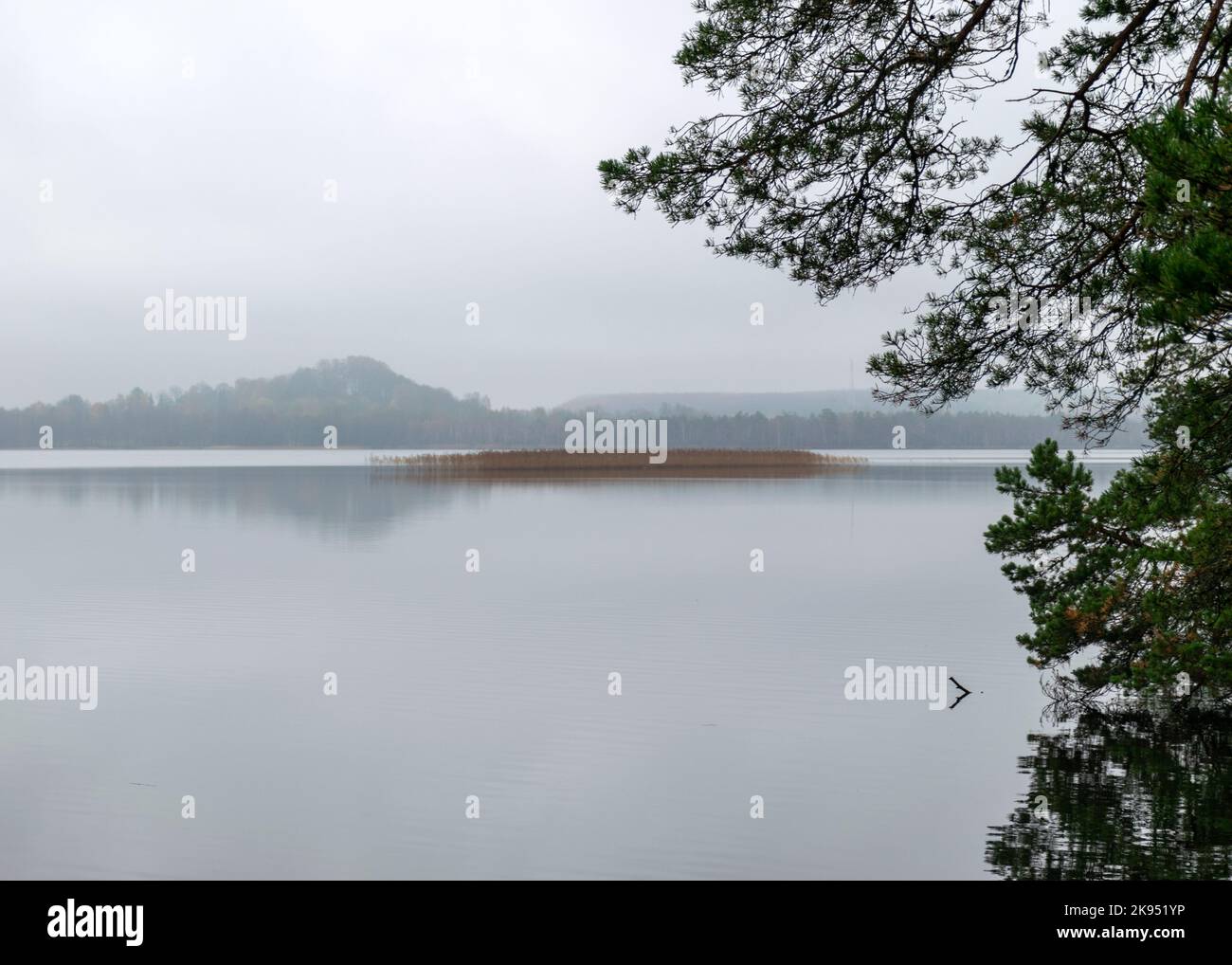 foggy landscape, rainy gray autumn landscape from the lake, gray sky ...