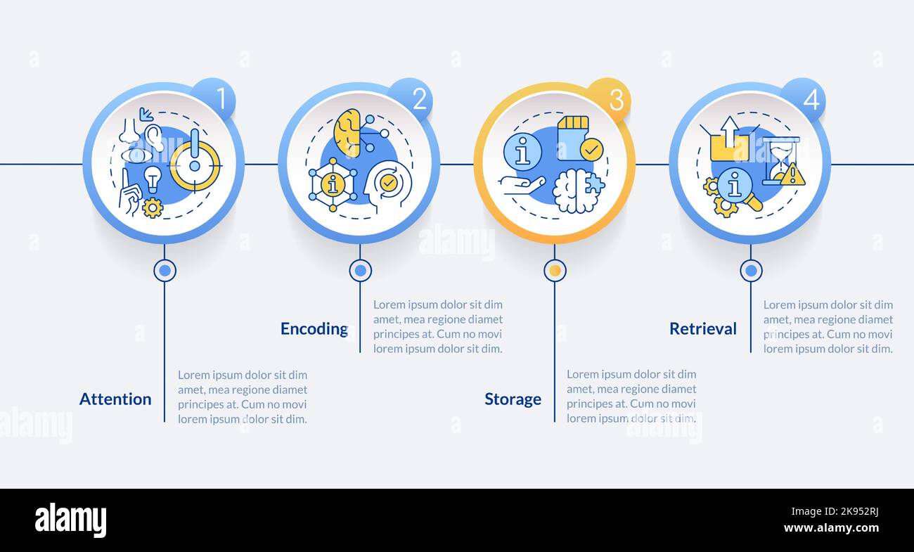 Memorizing information stages circle infographic template Stock Vector ... Memorizing information stages circle infographic template Stock Vector ...