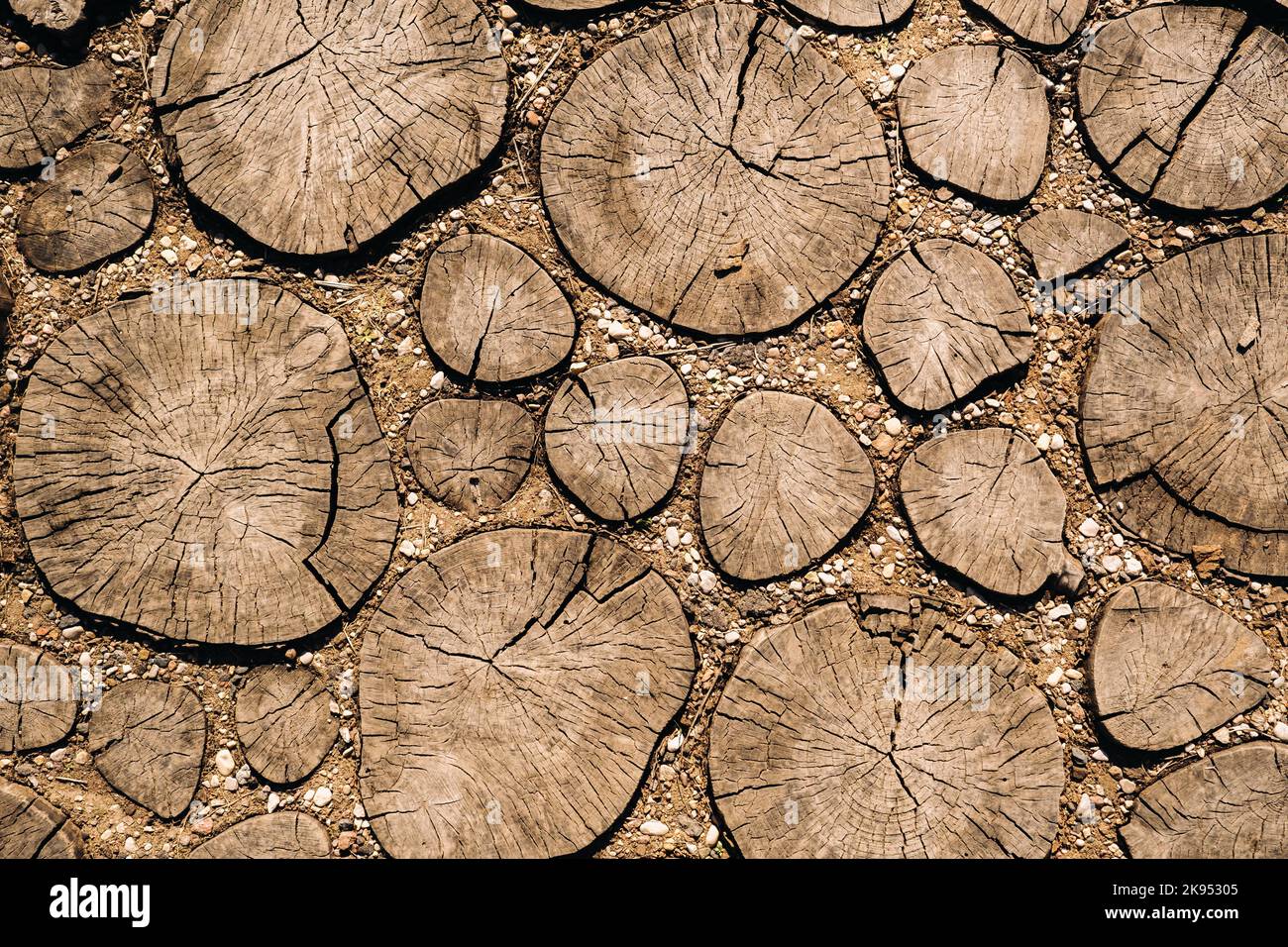 the old path is laid out of round wooden sections. Background of wooden ...