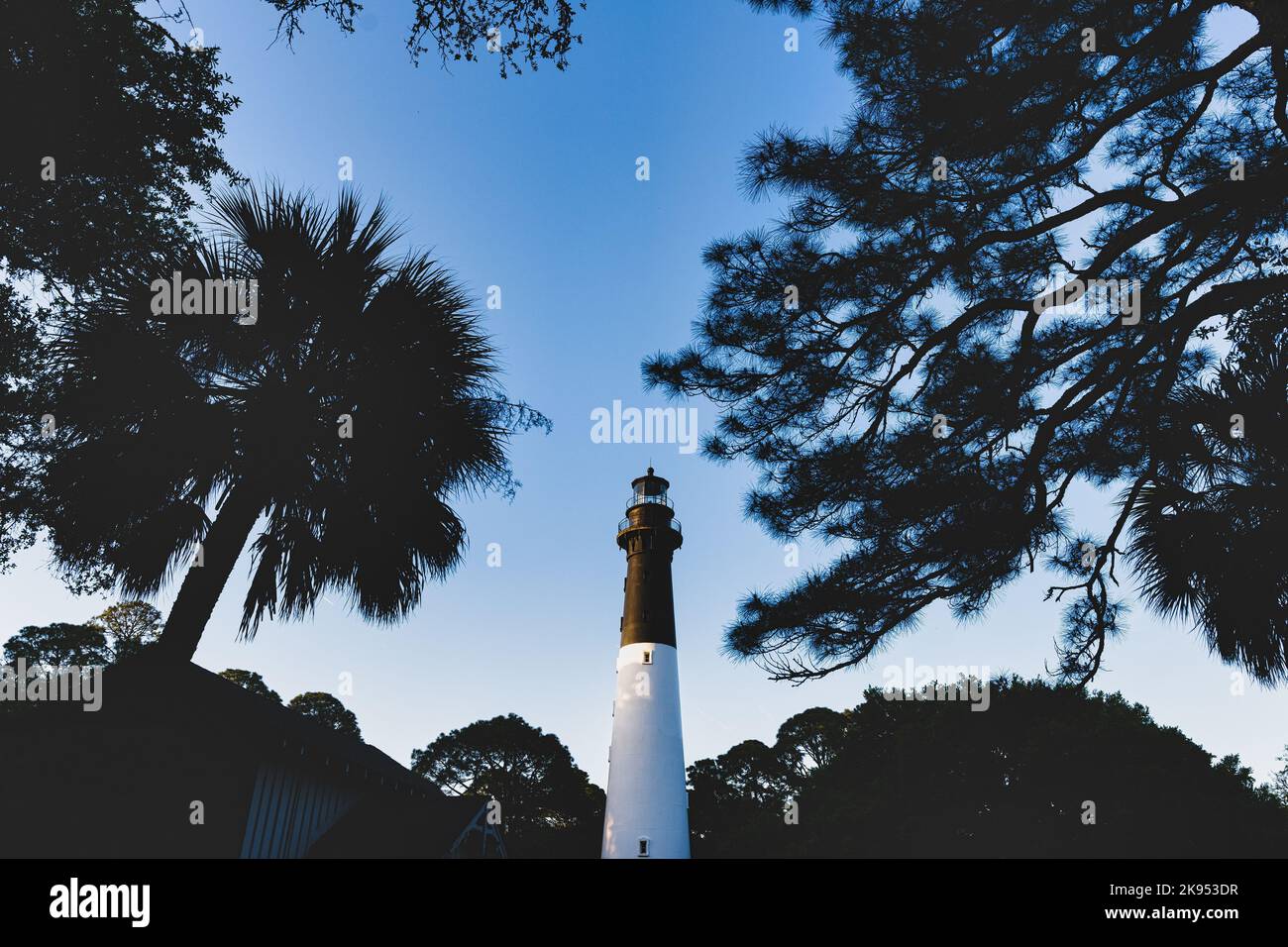 A beautiful tall lighthouse on a beach near palm trees Stock Photo - Alamy