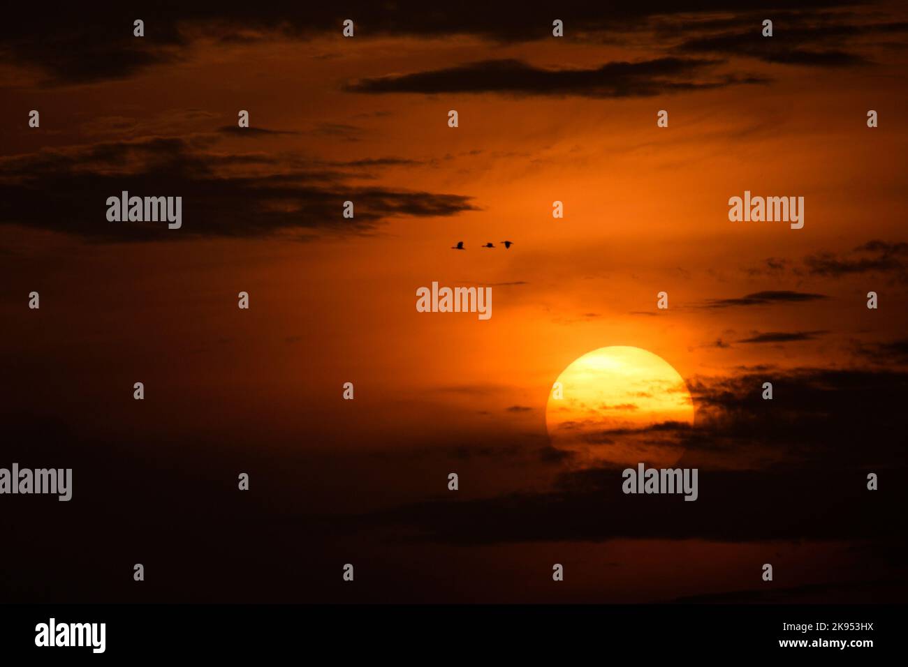A closeup shot of the sun covered with clouds at sunset Stock Photo - Alamy