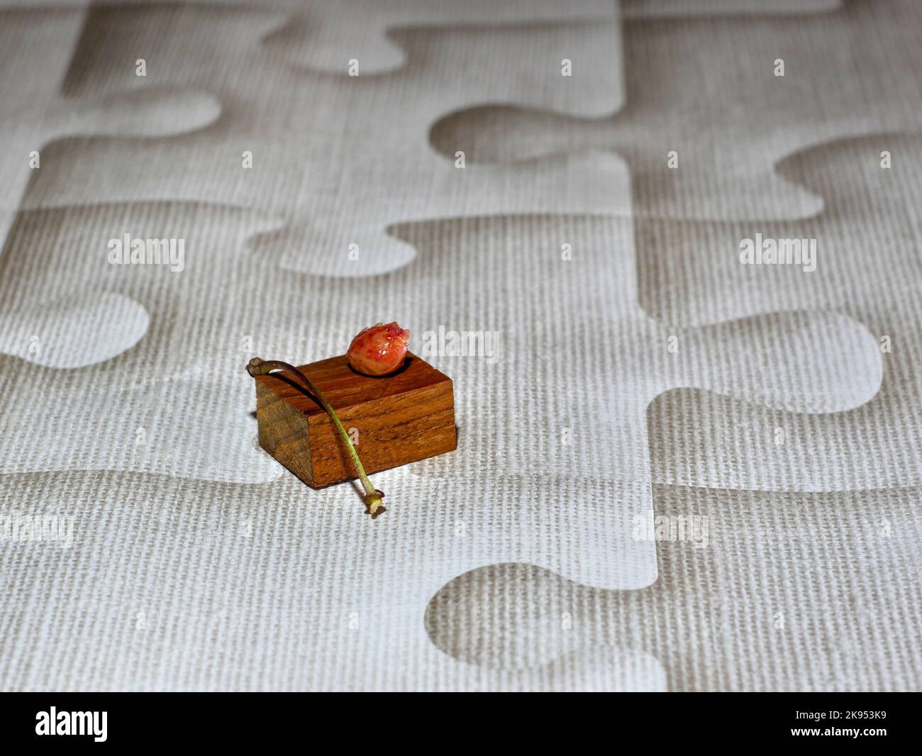 The remains of cherry, tail and core, on a white textured surface Stock ...