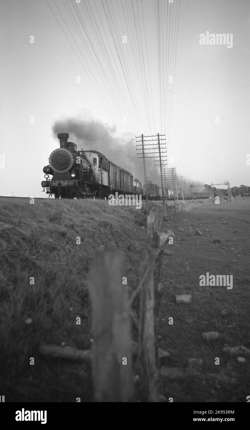 The State Railways, SJ E4 1651 with freight trains 4216 at Karpalund ...