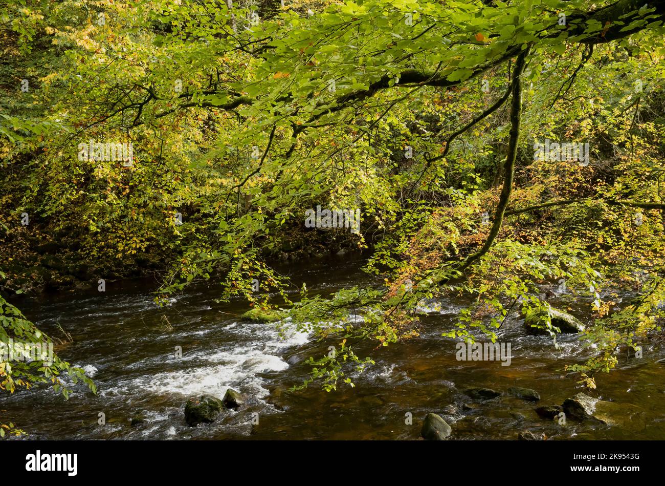 The river Lowther flowing over rocks below Low Gardens Bridge, Lowther ...