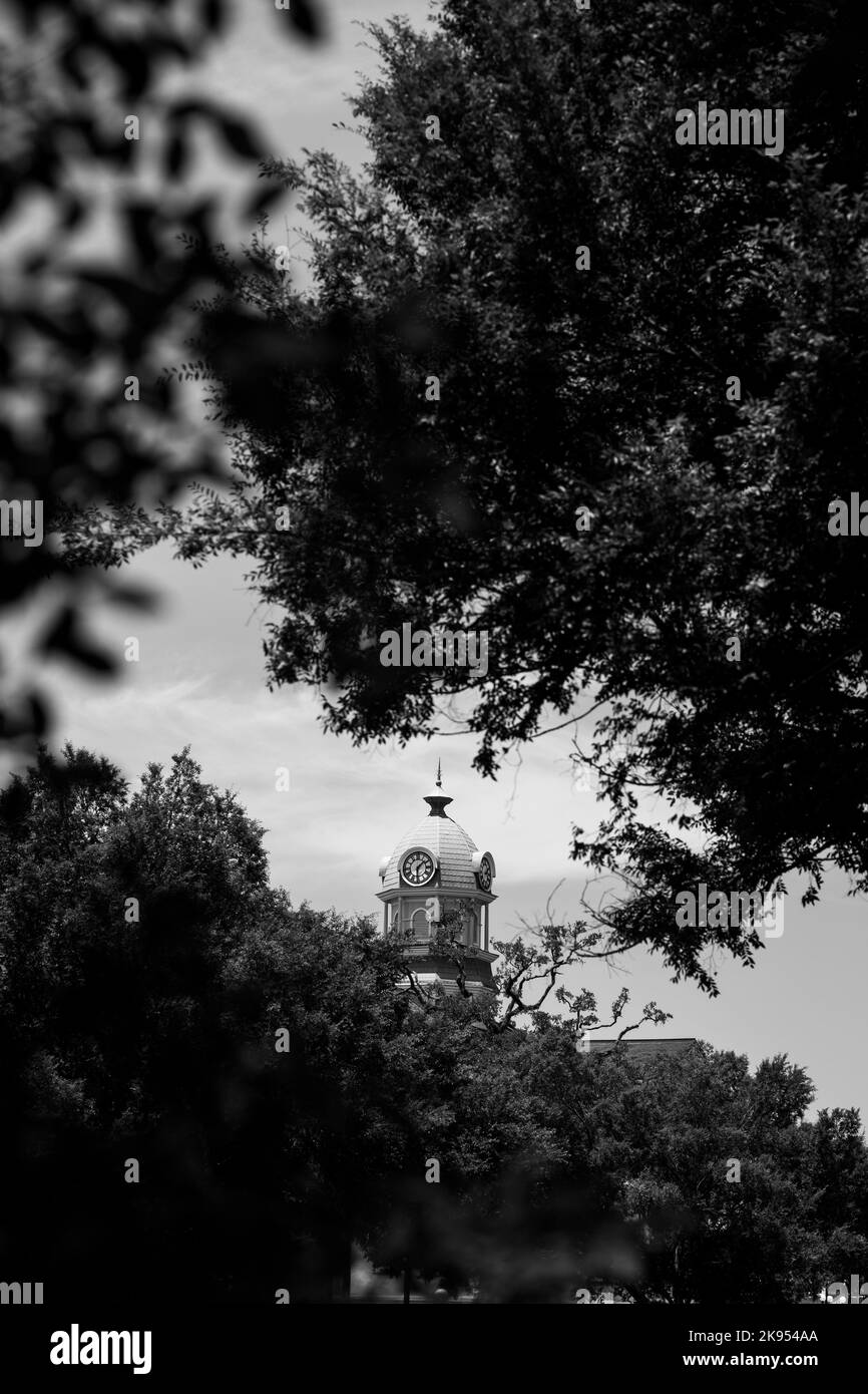 A vertical and monochrome shot of the courthouse through trees Stock ...