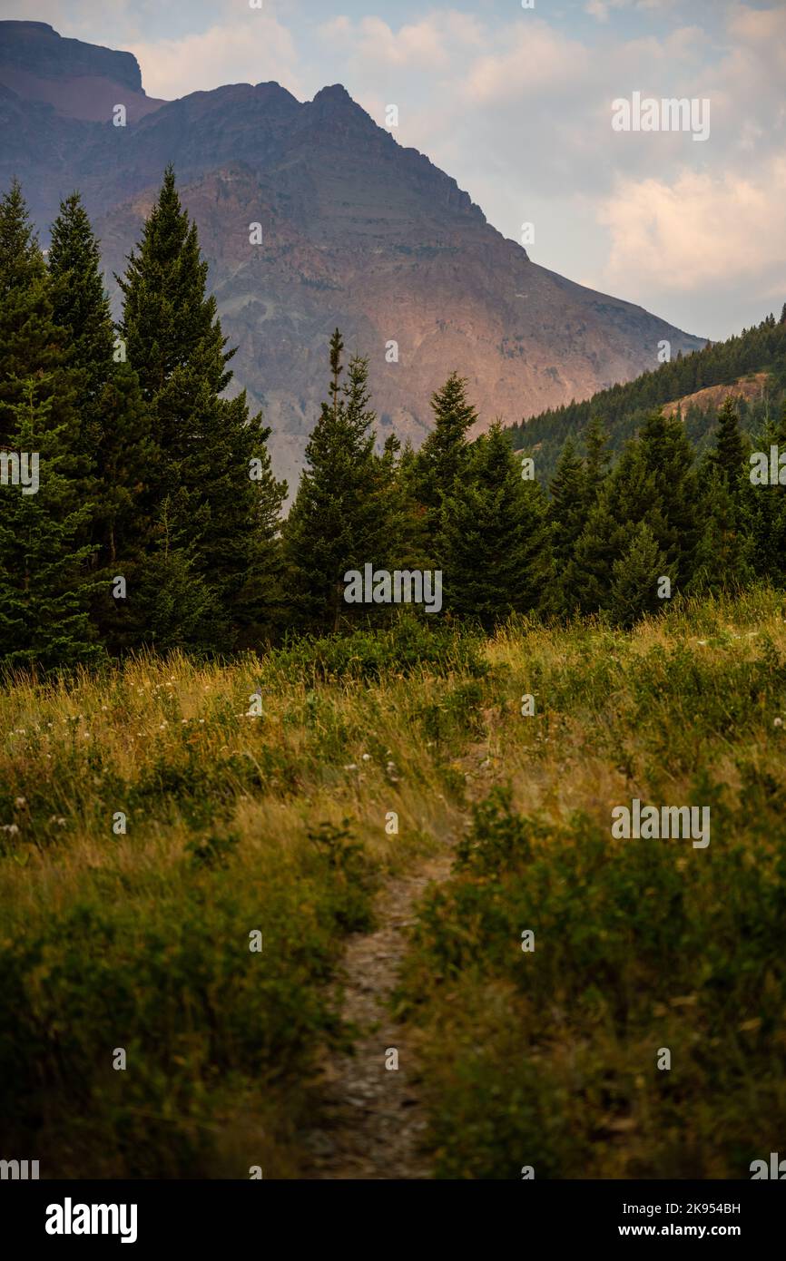 Two medicine lake trail hi-res stock photography and images - Alamy