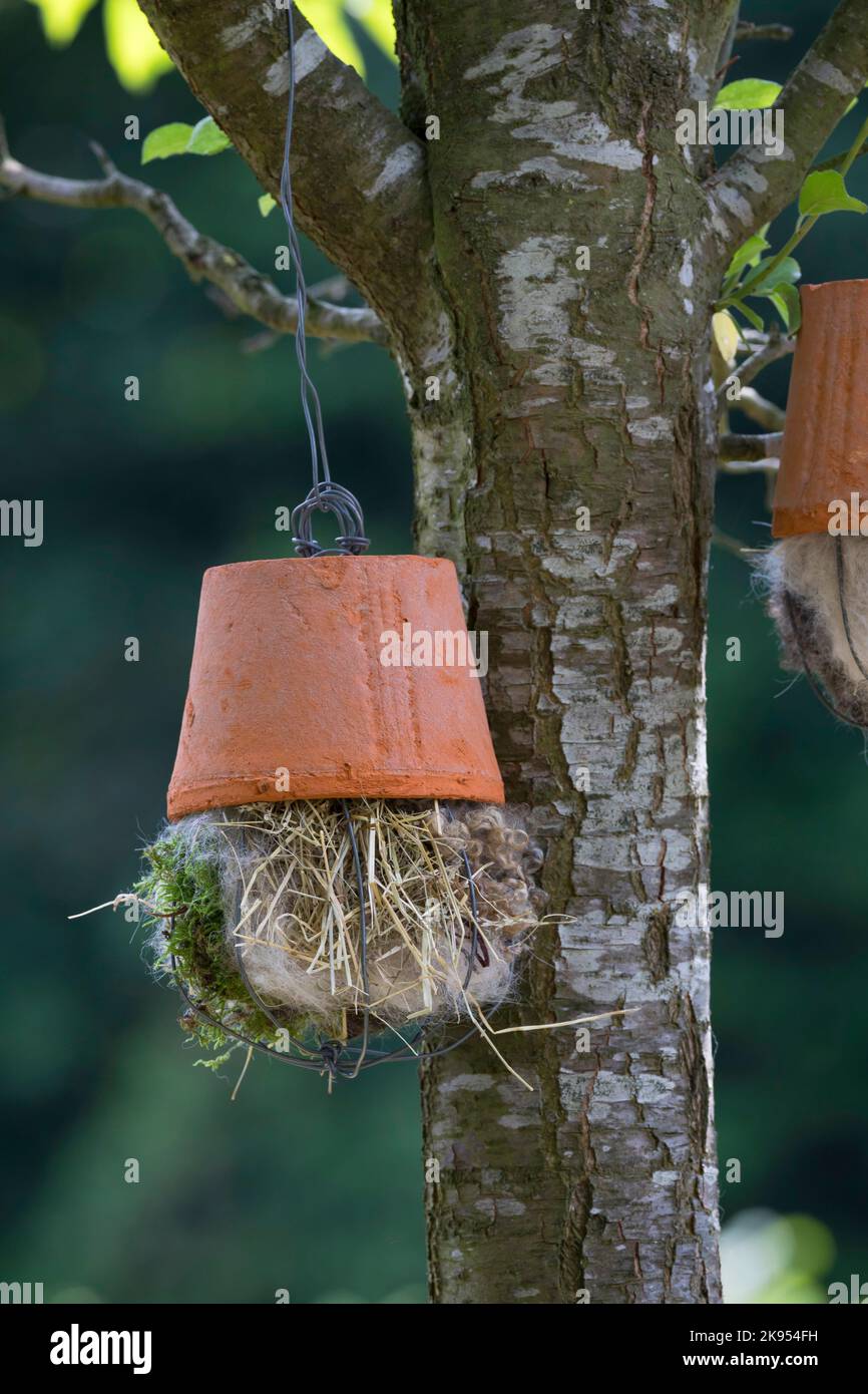 making a dispenser for nesting material for birds or squirrels, step 5 ...