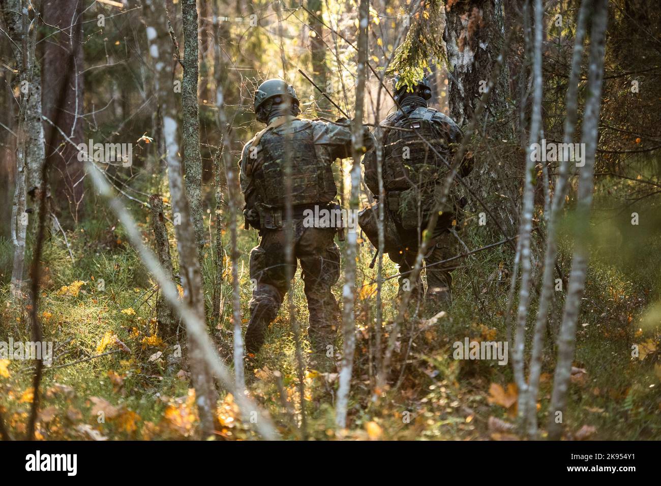 Natos eastern flank hi-res stock photography and images - Alamy