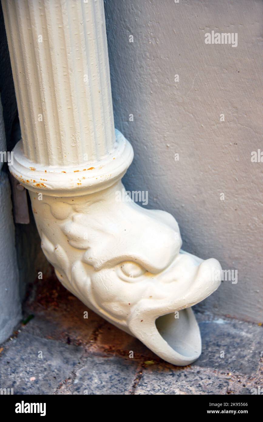 gutter with fish head, France, Dept. Var, Bandol Stock Photo - Alamy
