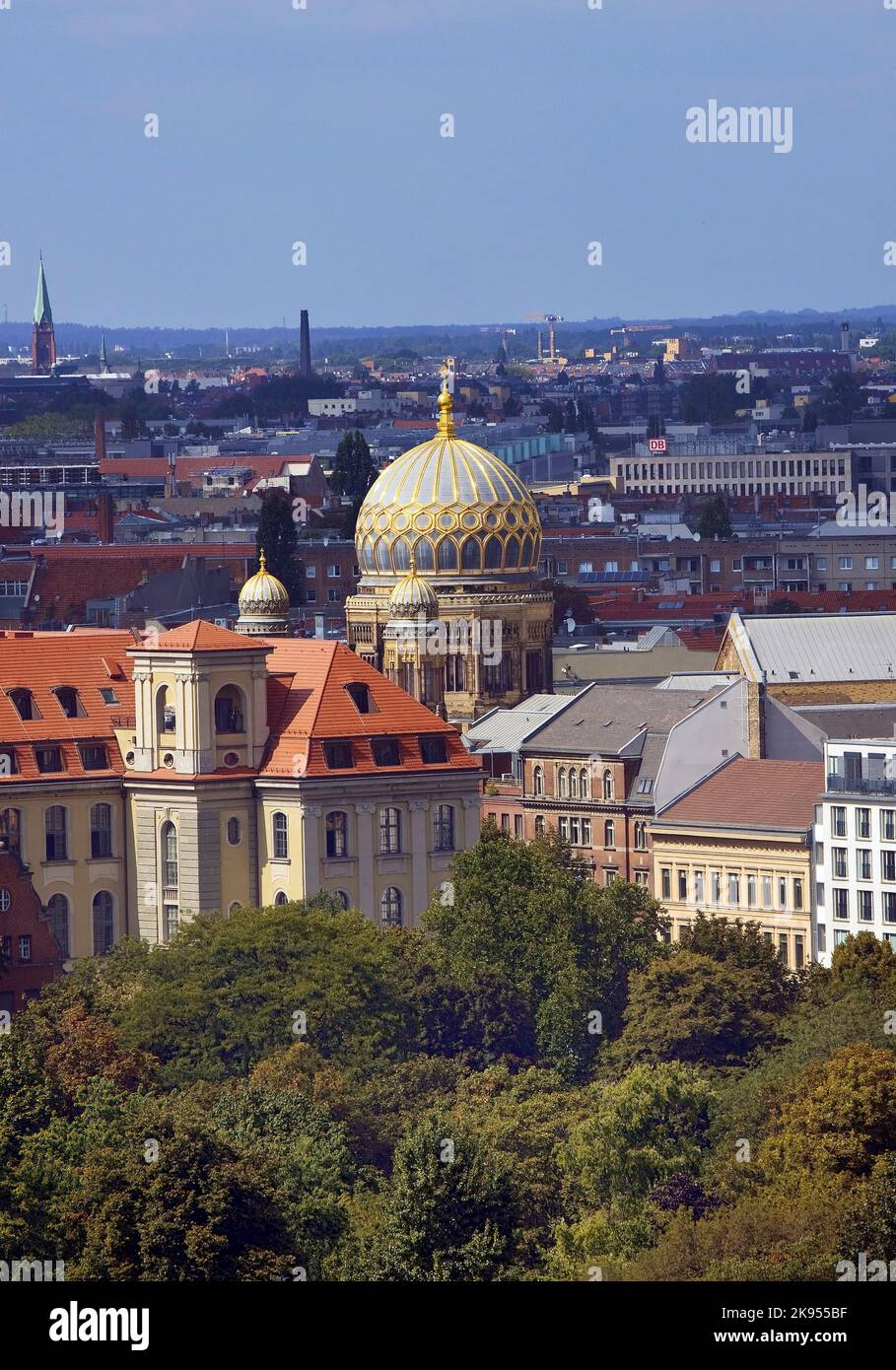 New Synagogue tambour dome covered with gilded ribs in the Spandauer ...