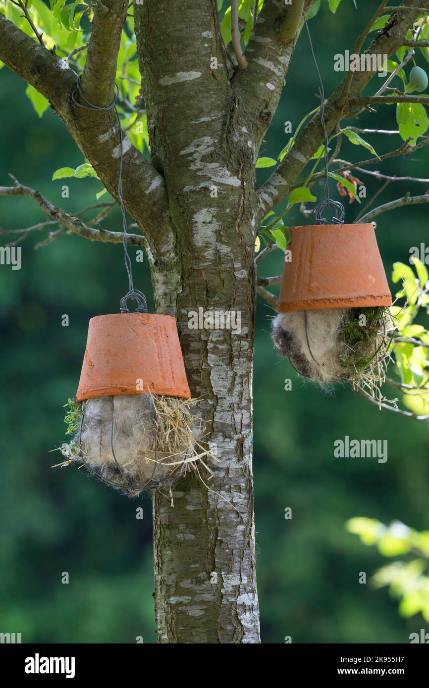 making a dispenser for nesting material for birds or squirrels, step 5 ...