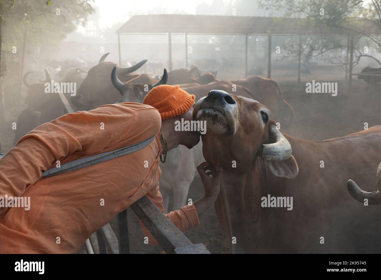 Vrindavan, India, 26/10/2022, Devotees from Iskcon temple, offering ...
