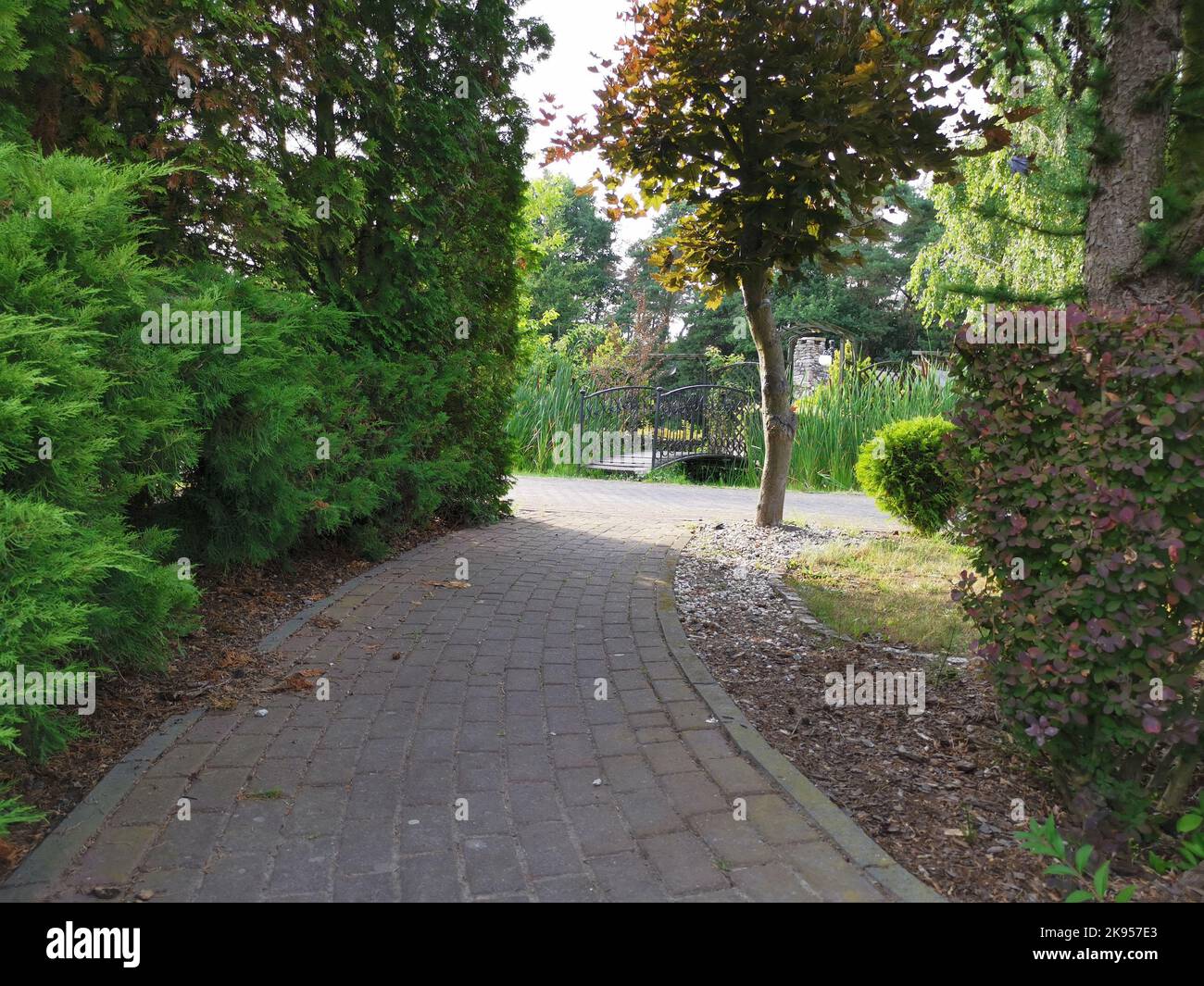 An empty pathway in the park Stock Photo - Alamy