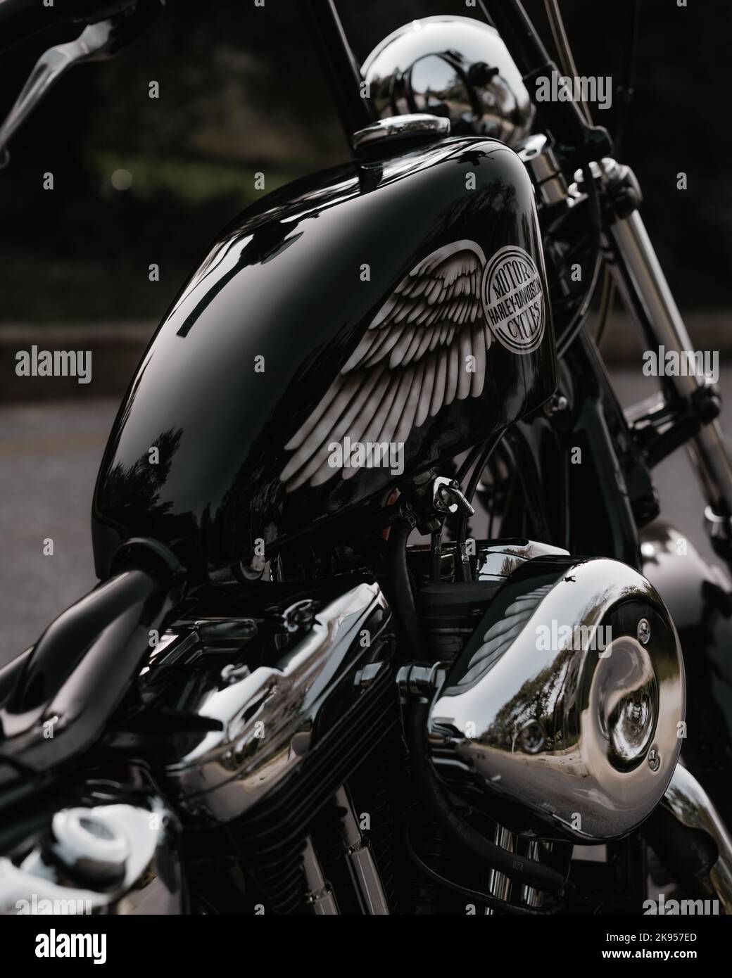 A vertical closeup of the black Harley-Davidson motorcycle gas tank ...