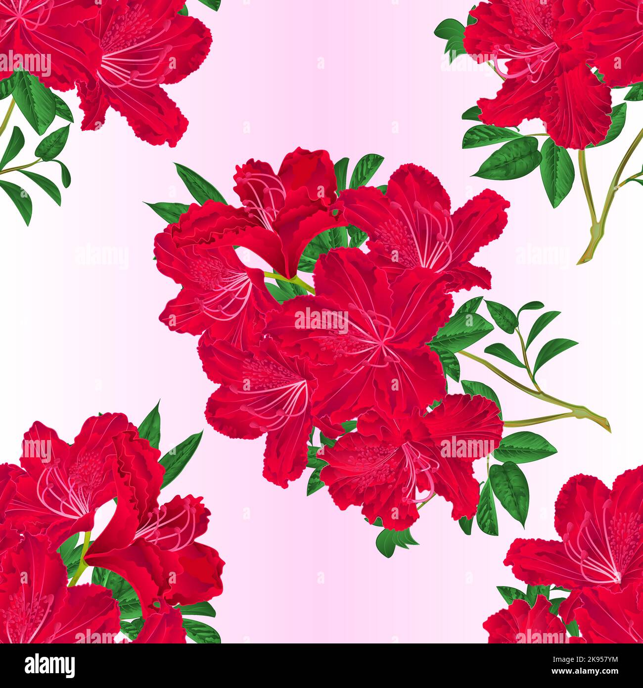 Seamless texture twig red rhododendron flowers and leaves vintage botanical vector editable ...