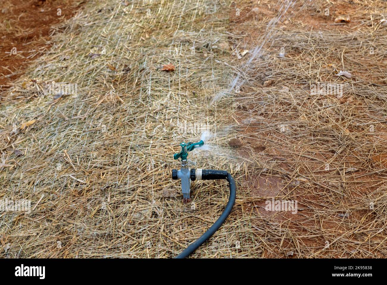 Watering yard by using lawn sprinkler as part of landscaping near new ...