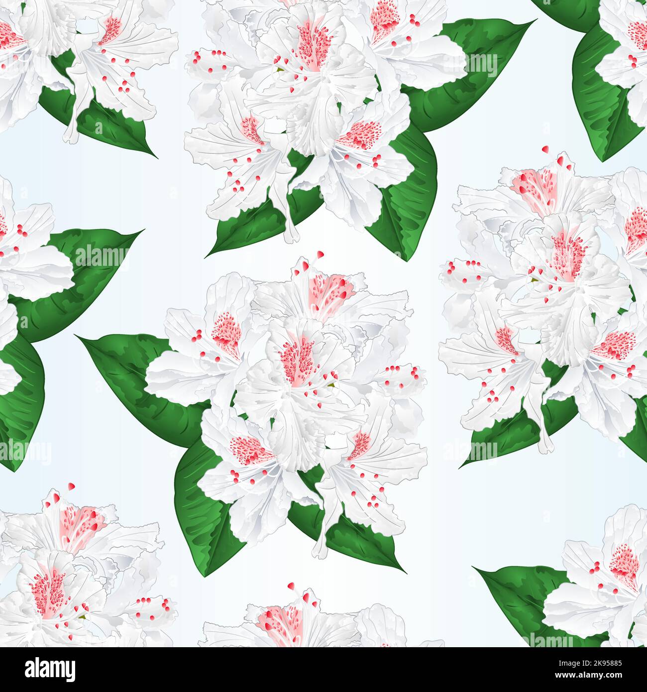 Seamless texture flowers white rhododendron with leaves vintage vector ...
