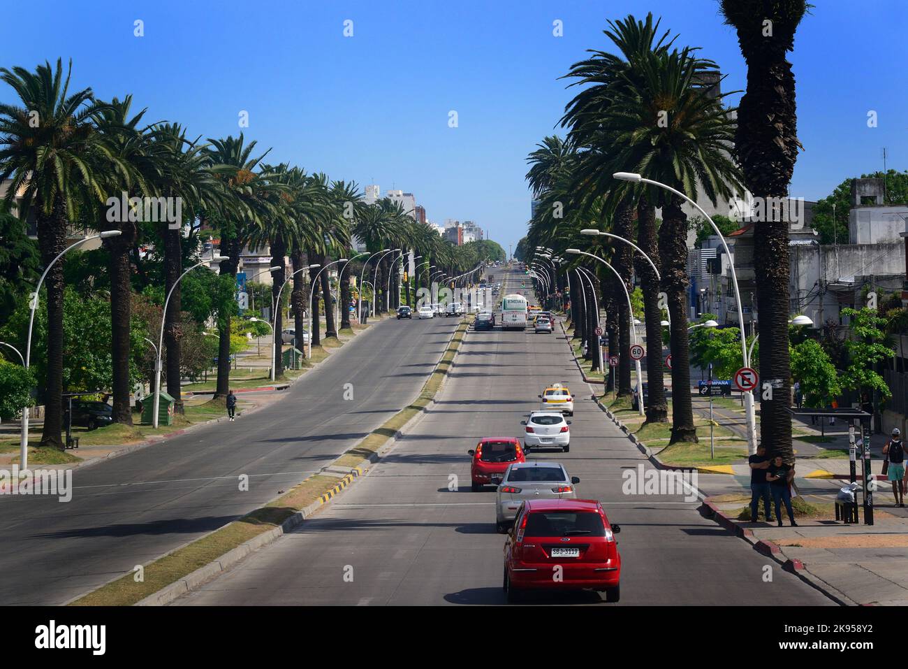 A busy street with cars and palm trees in Montevideo, Uruguay Stock ...