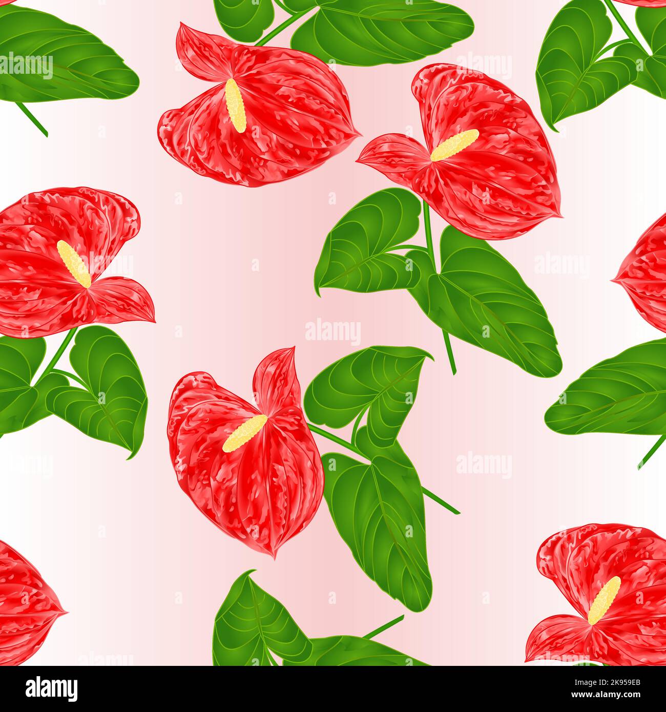 Seamless texture decorative flower anthurium on a white background ...