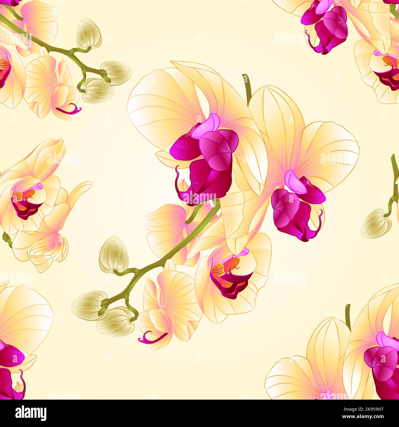 Seamless Texture Stem With Flowers And Buds Beautiful Yellow Orchid