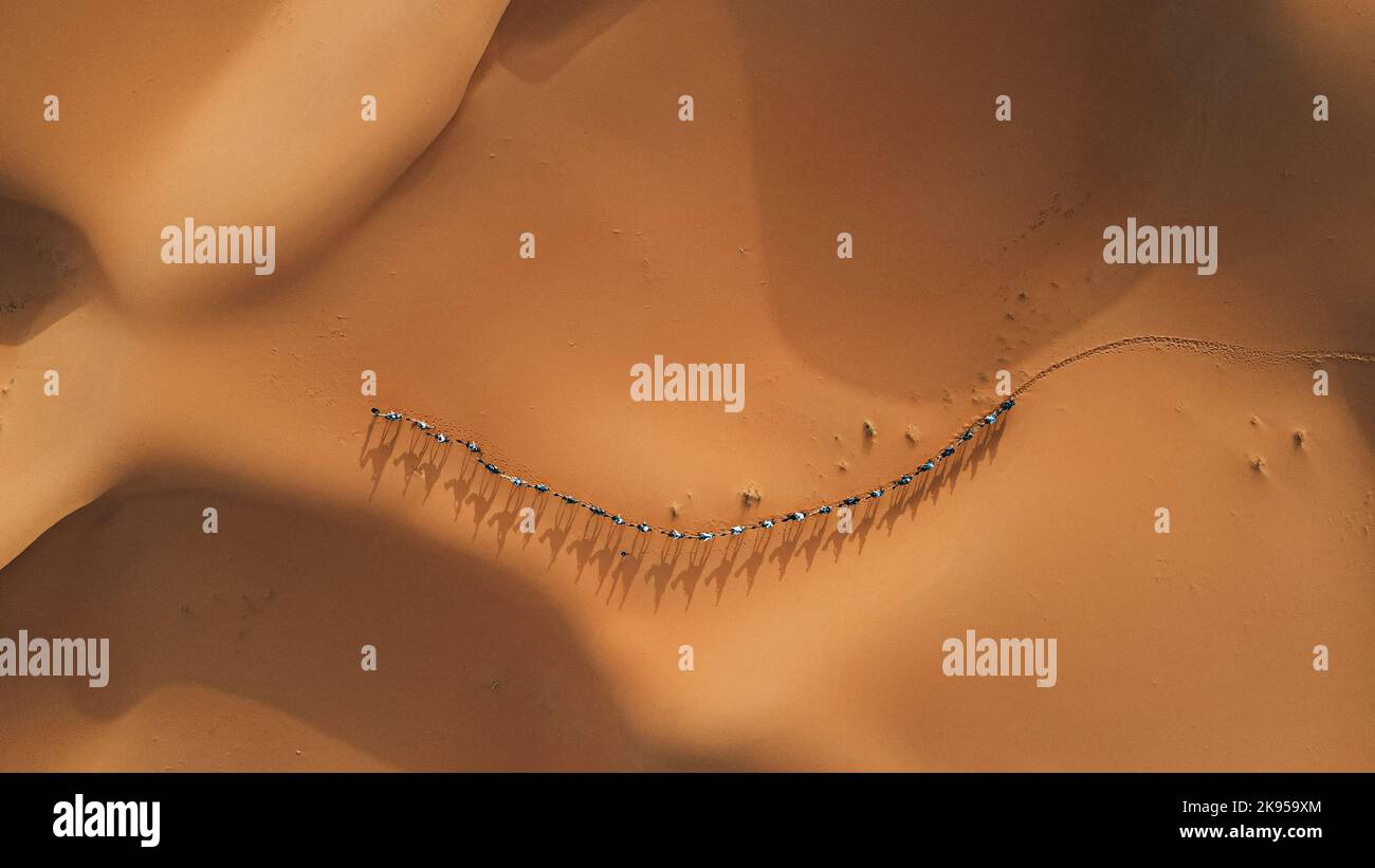 Camel shadow aerial hi-res stock photography and images - Alamy