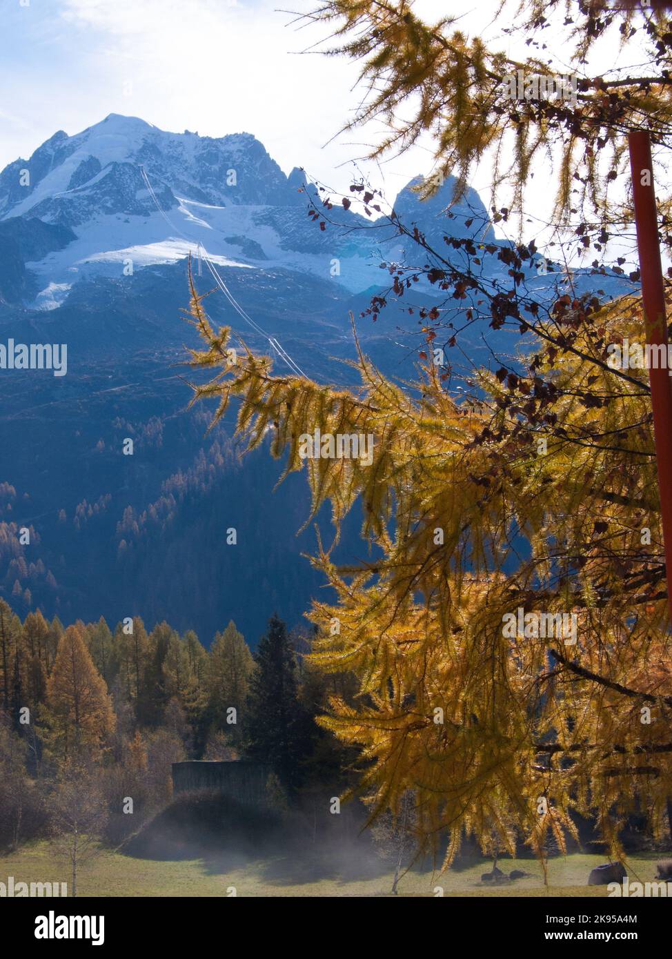 A beautiful landscape of yellow trees and mountains in Chamonix, France ...