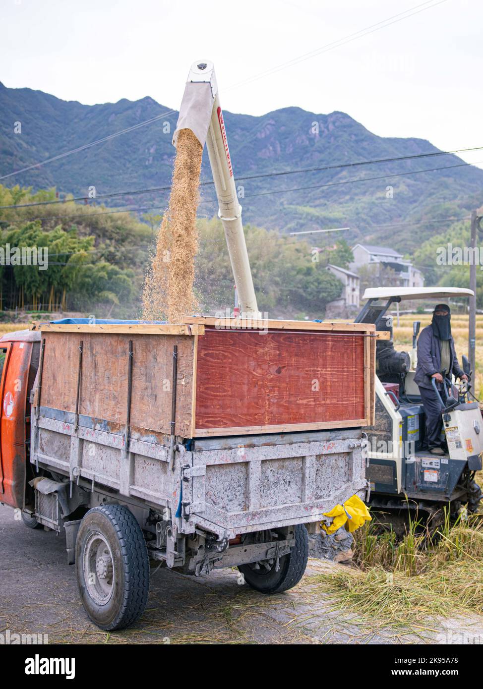 Jiande, China's Zhejiang Province. 26th Oct, 2022. A farmer loads newly ...