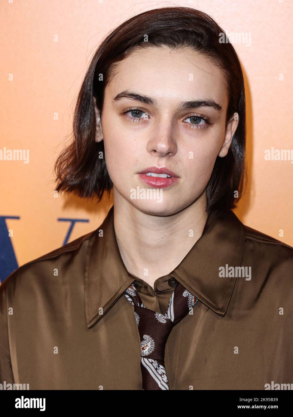 BEVERLY HILLS, LOS ANGELES, CALIFORNIA, USA - OCTOBER 25: American ...