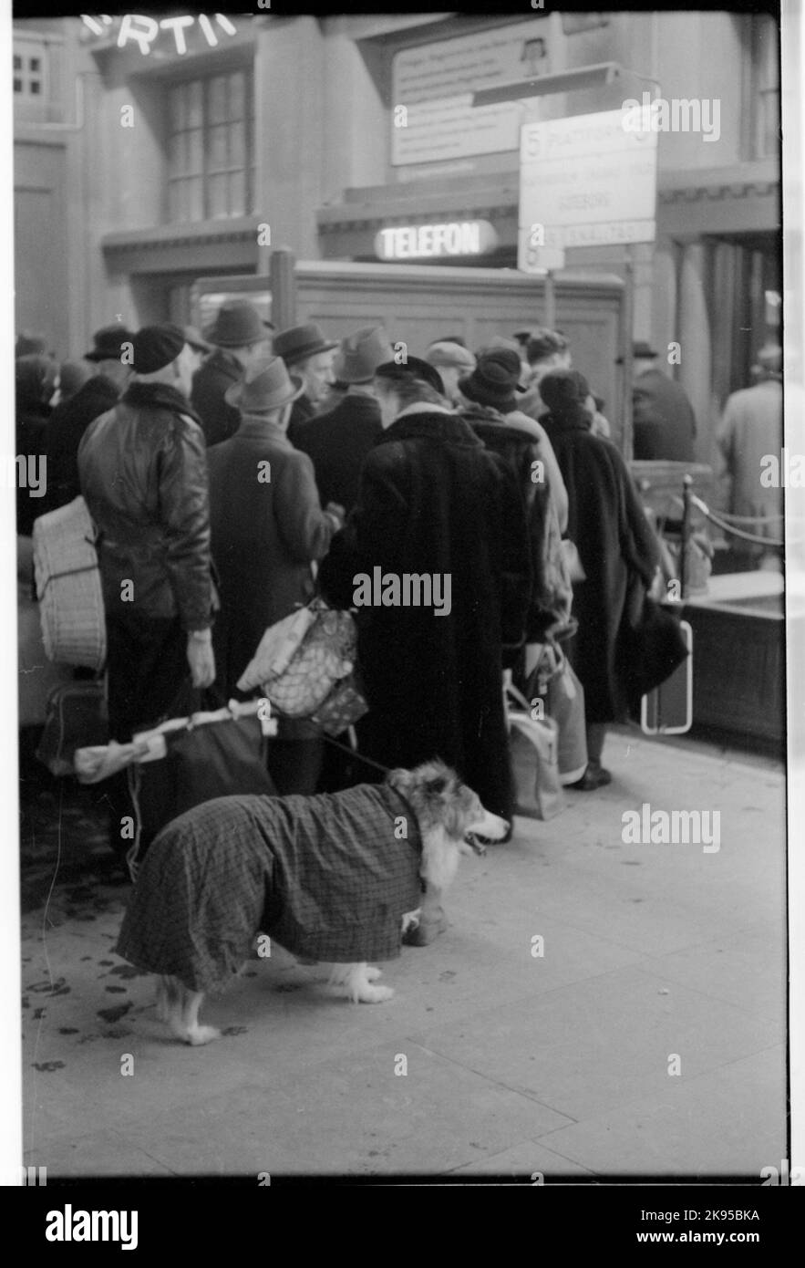 Queuing train travelers Stock Photo - Alamy