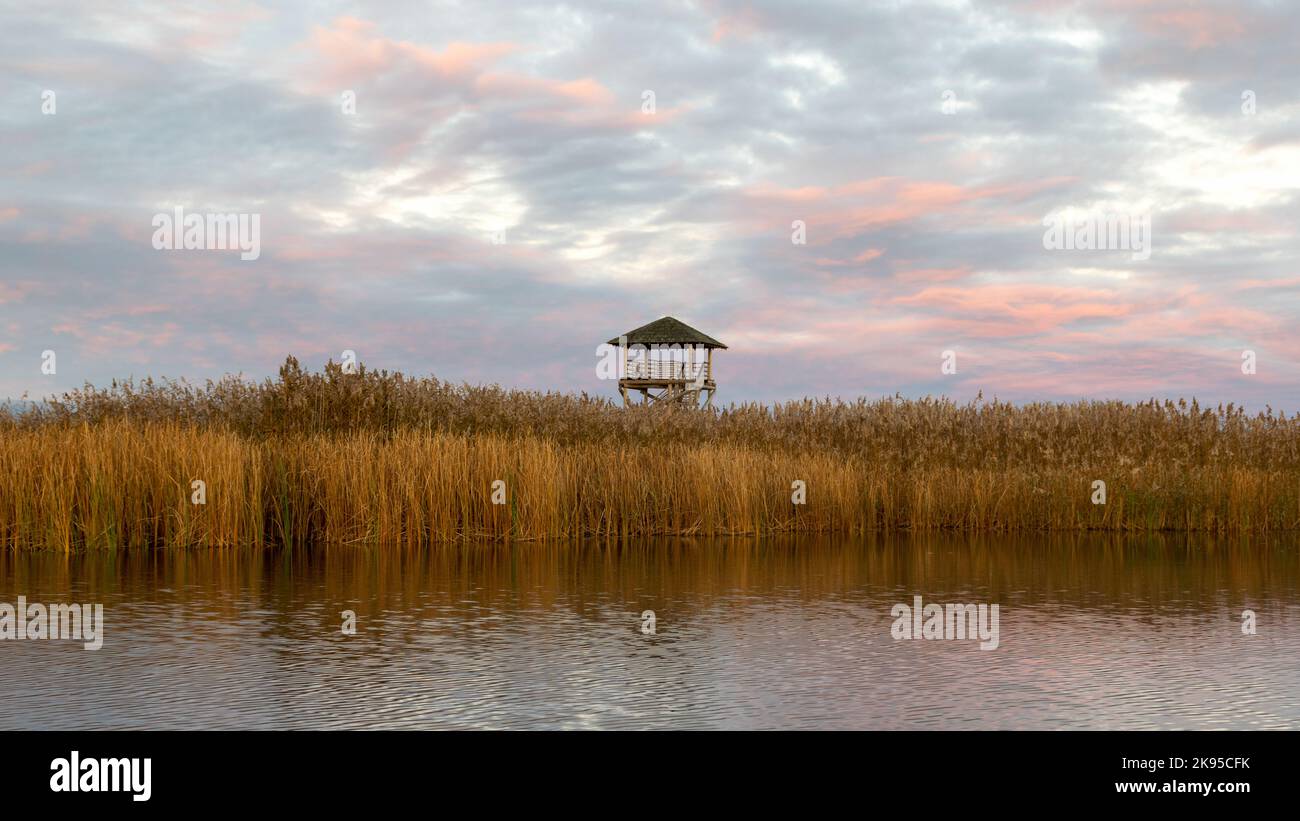 wooden lookout tower, golden hour in swamp lake, lakeside reeds and ...