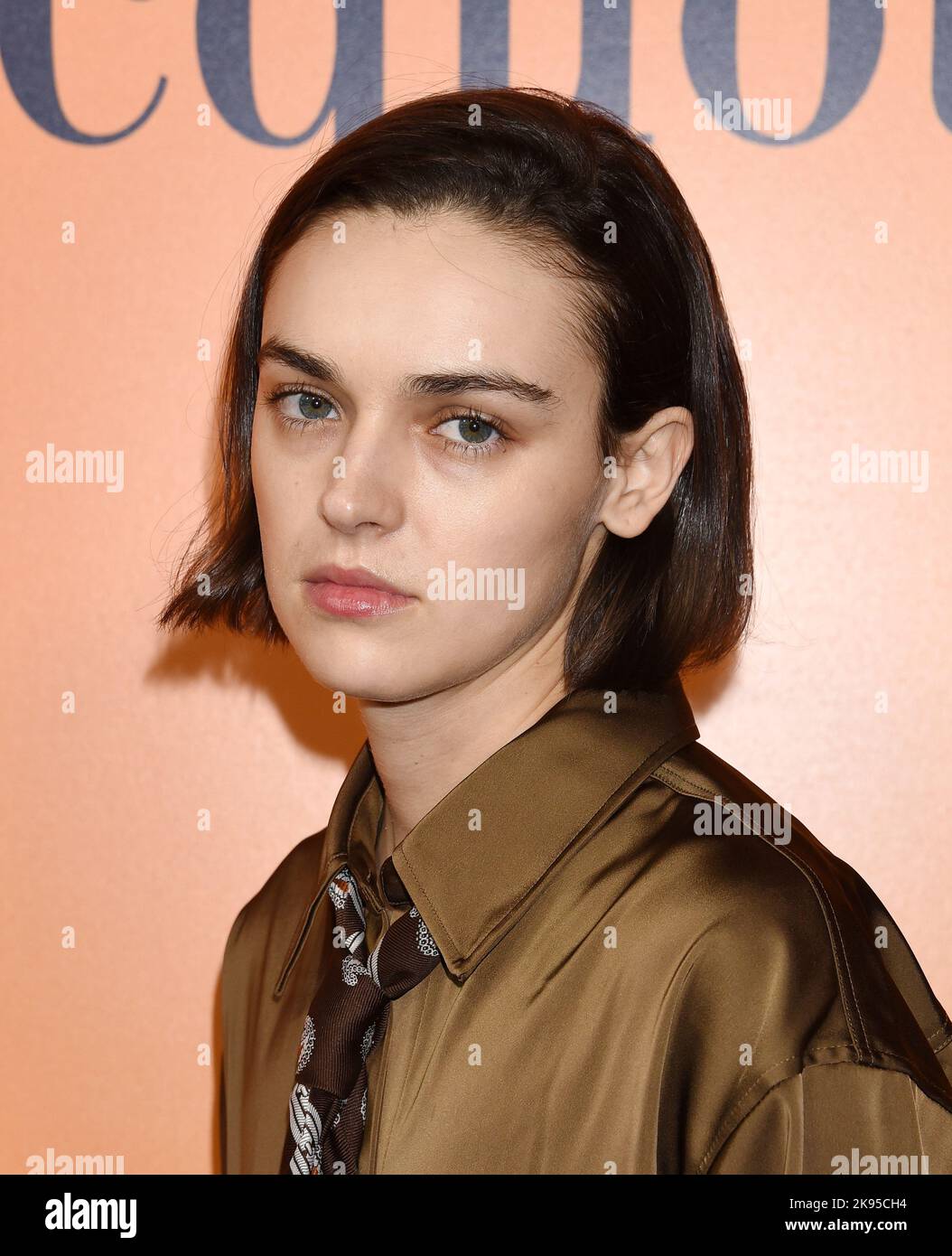 Ava Capri arriving at the Veuve Clicquot Solaire Culture Exhibit ...