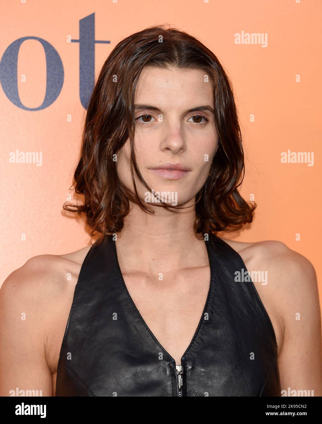 Raph arriving at the Veuve Clicquot Solaire Culture Exhibit Opening ...