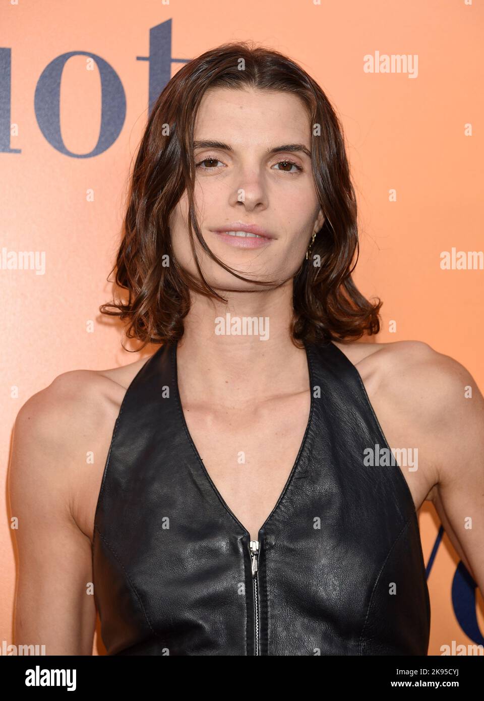 Raph arriving at the Veuve Clicquot Solaire Culture Exhibit Opening ...