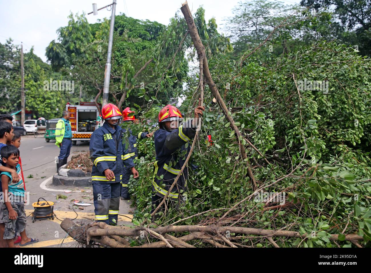 Due to the gusty winds of Cyclone Sitrang, large and small trees were ...