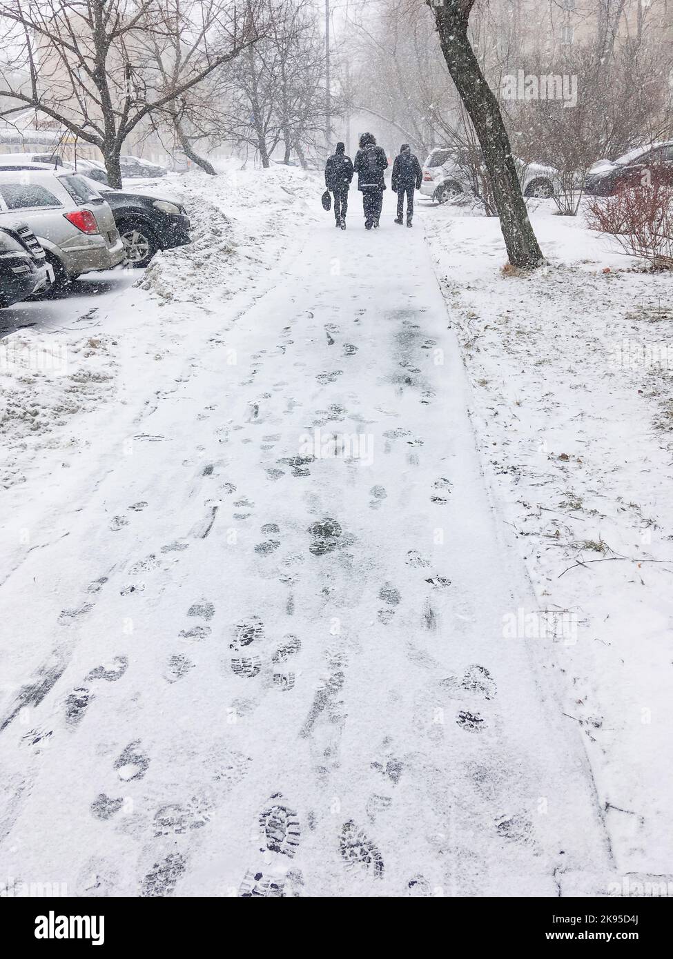 Three men walk down the street covered with snow. Footprints on snowy ...