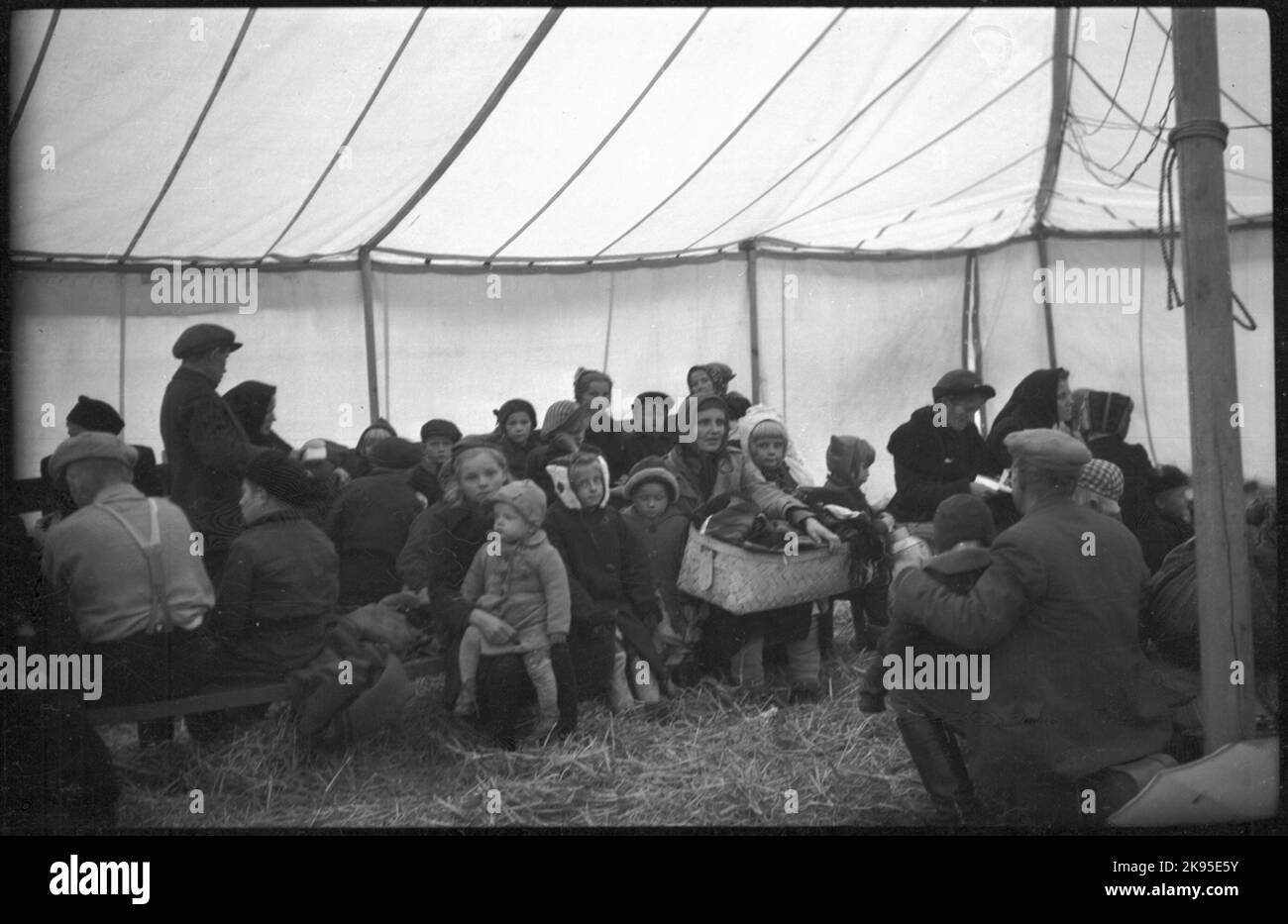 Evacuation of Finnish refugees, autumn 1944 Stock Photo - Alamy