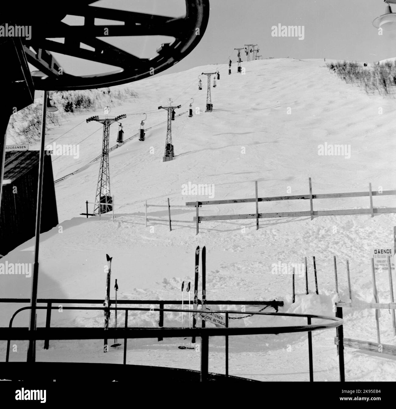 The cable car, at the tree line Stock Photo - Alamy