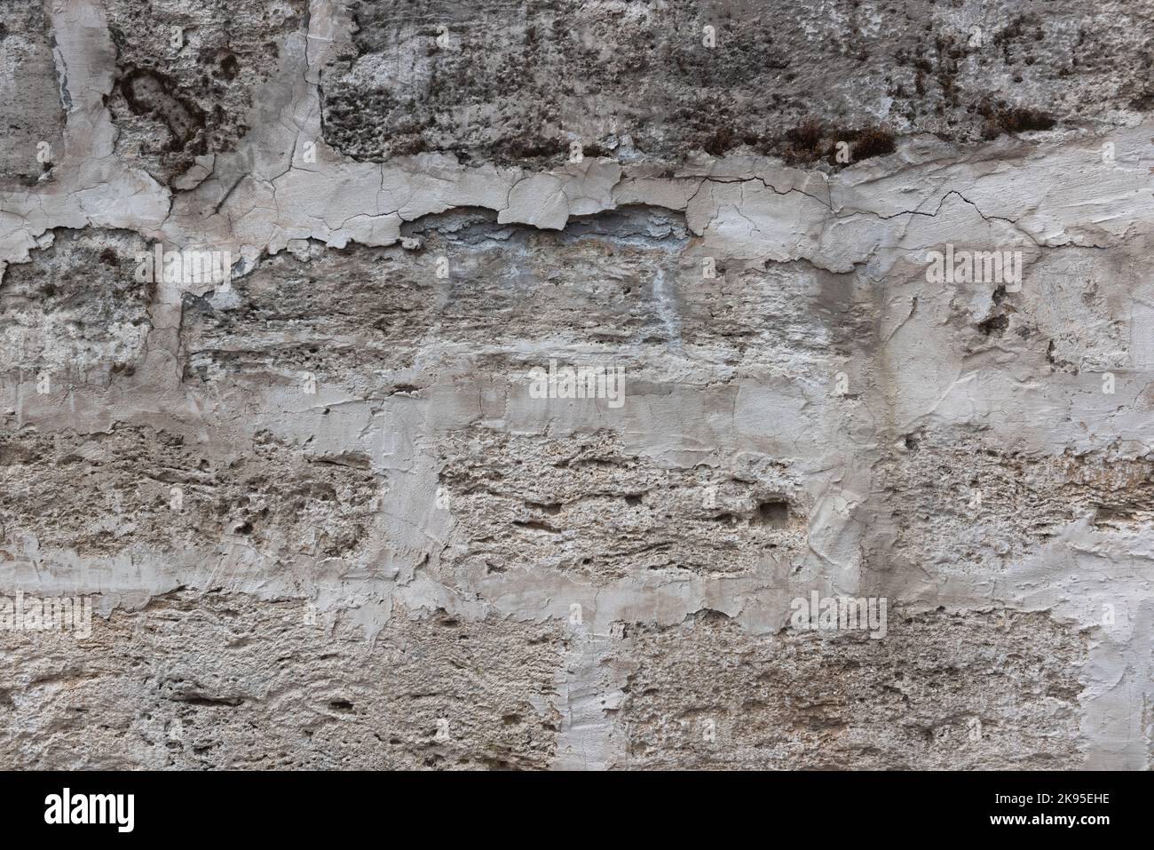 Texture of old white wall with mold Stock Photo - Alamy