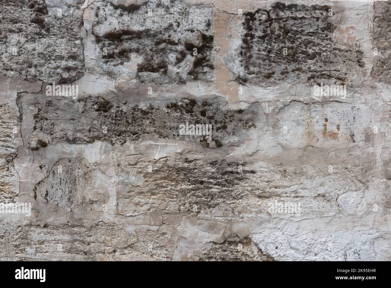 Texture of old white wall with mold Stock Photo - Alamy