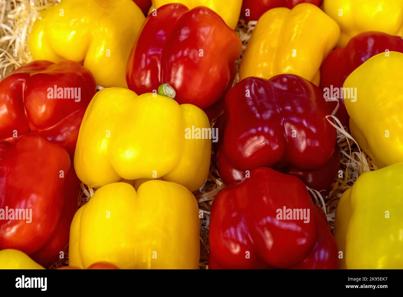 Red and yellow bell peppers top view. Peppers background. Selective ...