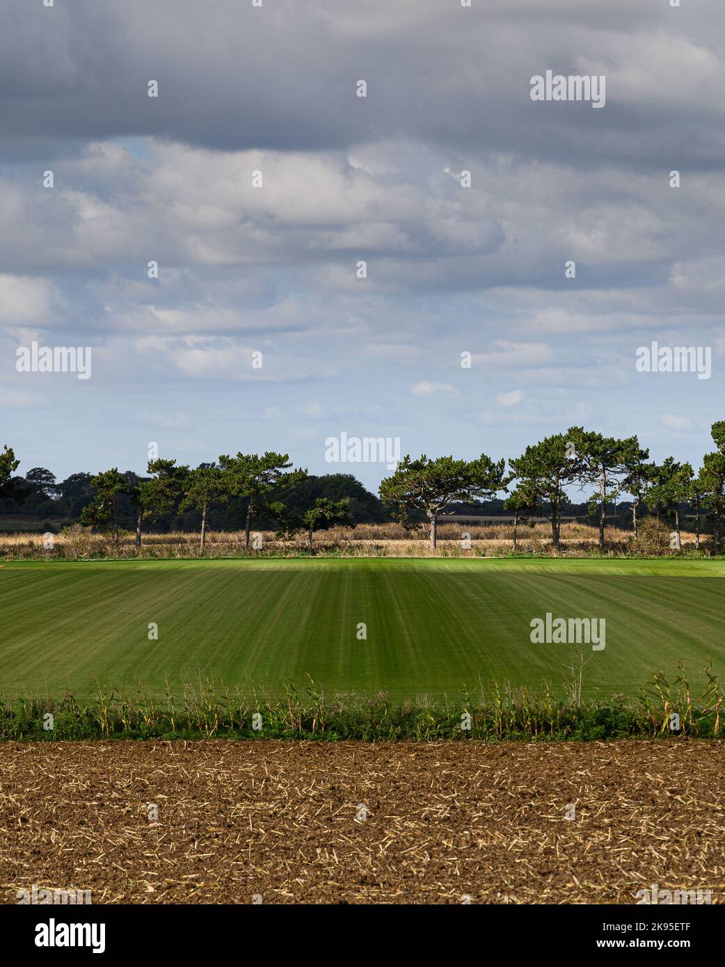 Green fields with a line of trees near Alderton in Suffolk, England ...