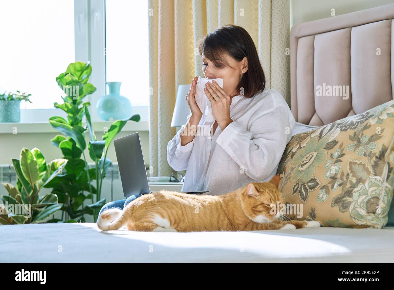 Woman sneezing allergic to domestic cat fur Stock Photo - Alamy