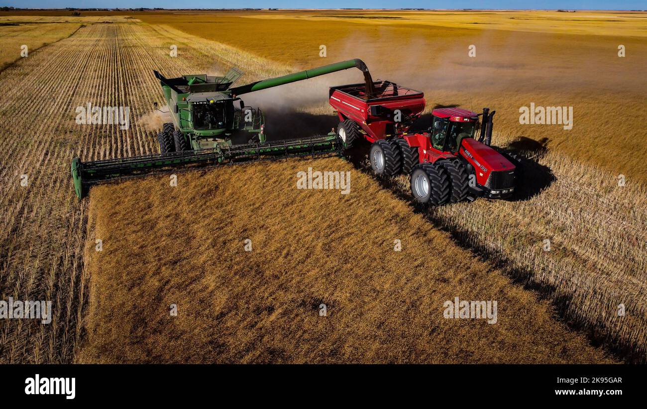Loading grain Cart Stock Photo - Alamy