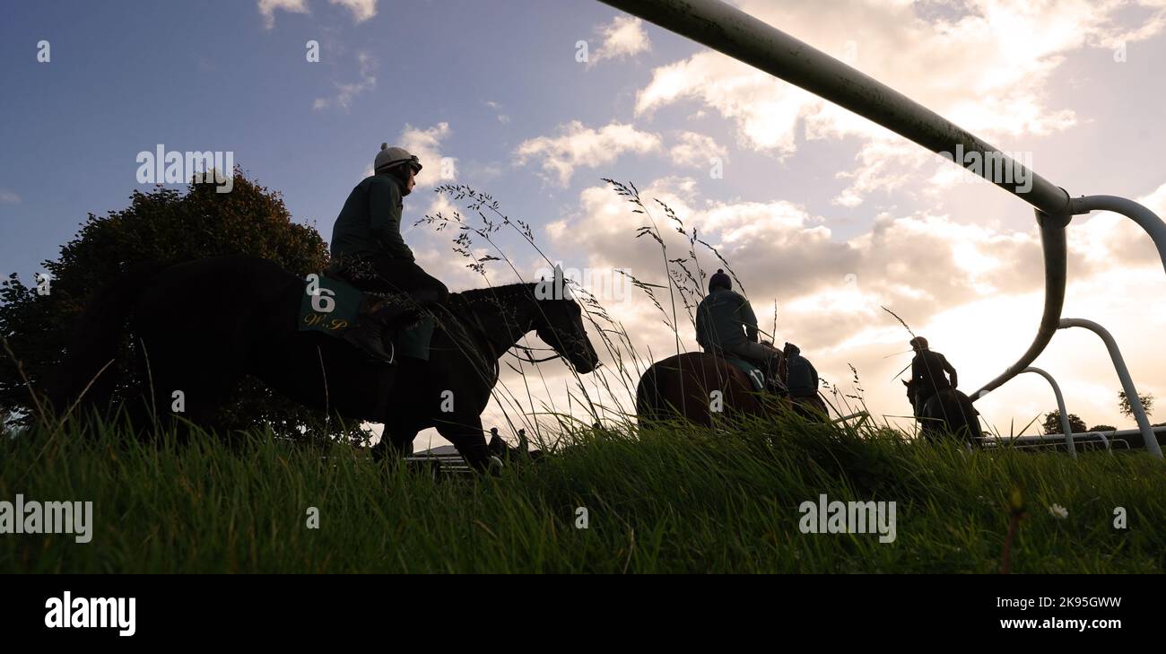 Left to right, Galopin Des Champs and Jungle Boogie on the gallops ...
