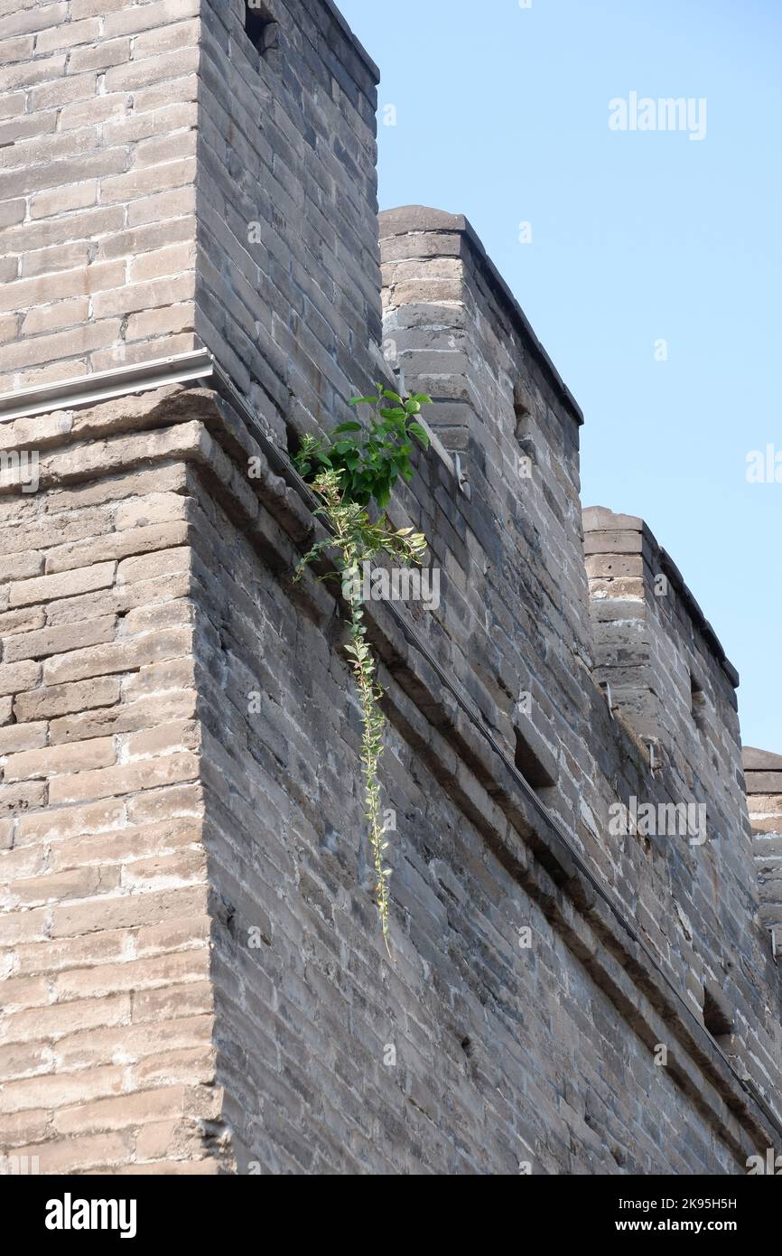 Wanping hi-res stock photography and images - Alamy