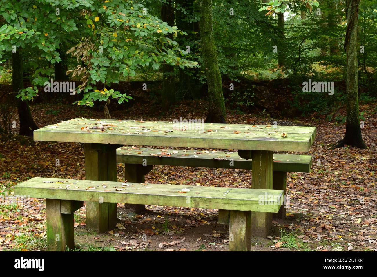 Mamhead hi-res stock photography and images - Alamy